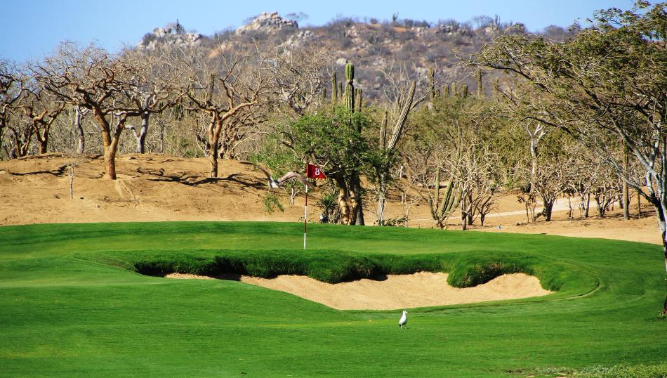 Woods se estrena como diseñador de El Cardonal, en Los Cabos